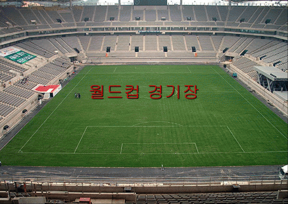 월드컵 경기장에 대해서