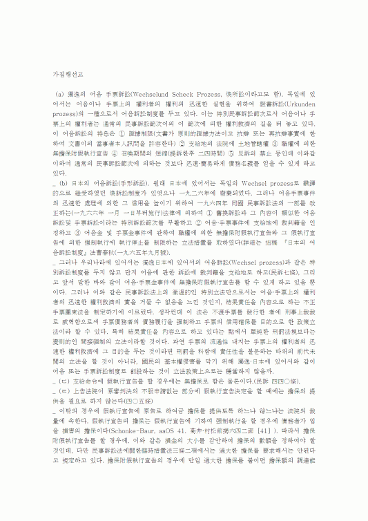 가집행선고 레포트 자료