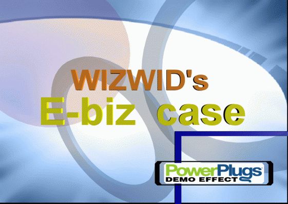 해외 인터넷 쇼핑몰-Wizwid의 마케팅 전략과 시장분석 그리고 경영전략에 대한 이해와 분석(전략발표대회금상 수상)