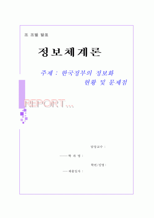 한국정부의 정보화 현황및 문제점