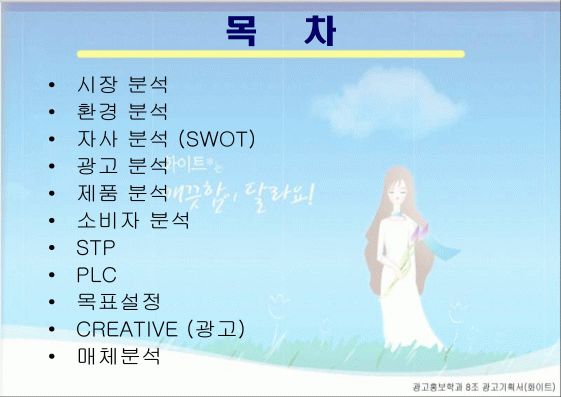 생리대 광고분석 사례/화이트 광고기획