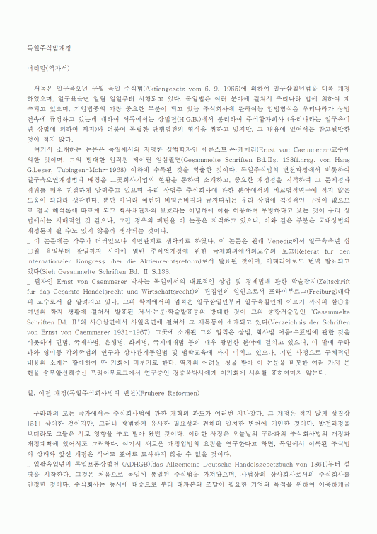 [사회과학] 독일주식법개정