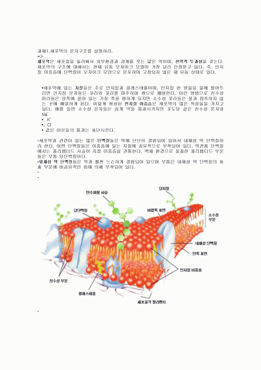 [자연과학] 세포막에 대한 조사