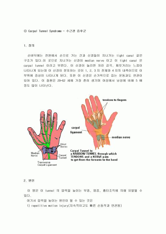 상체질병 레포트 자료