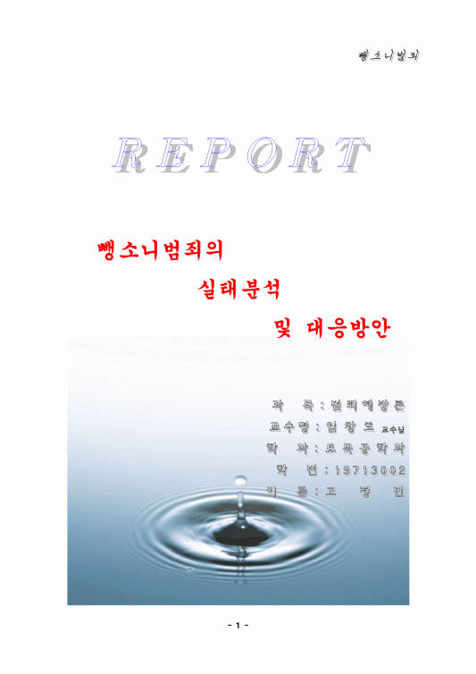 뺑소니범죄의 실태분석 및 대응방안