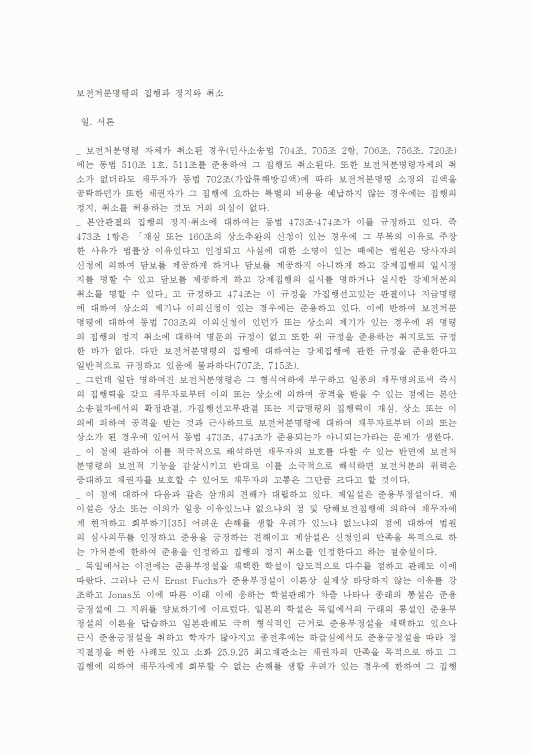 보전처분명령의 집행과 정지와 취소