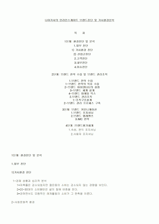 나이키사의 인라인스케이트 브랜드진단 및 거시환경분석