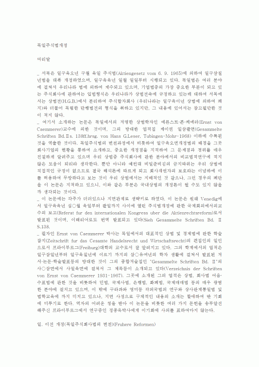 독일주식법개정