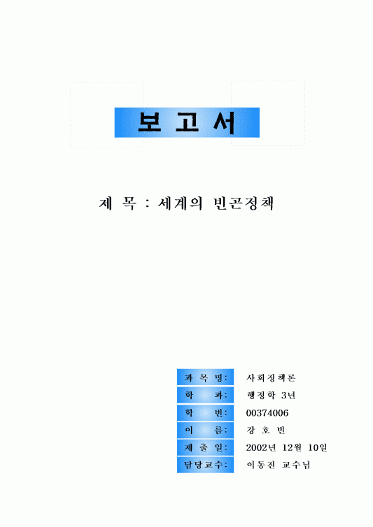 [사회과학] 세계의 빈곤정책