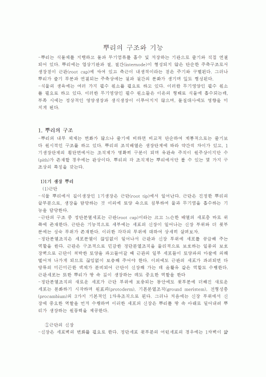 뿌리의 구조와 기능