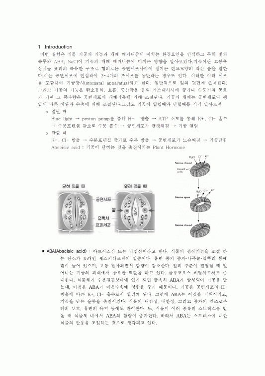 기공의 개폐 레포트 자료