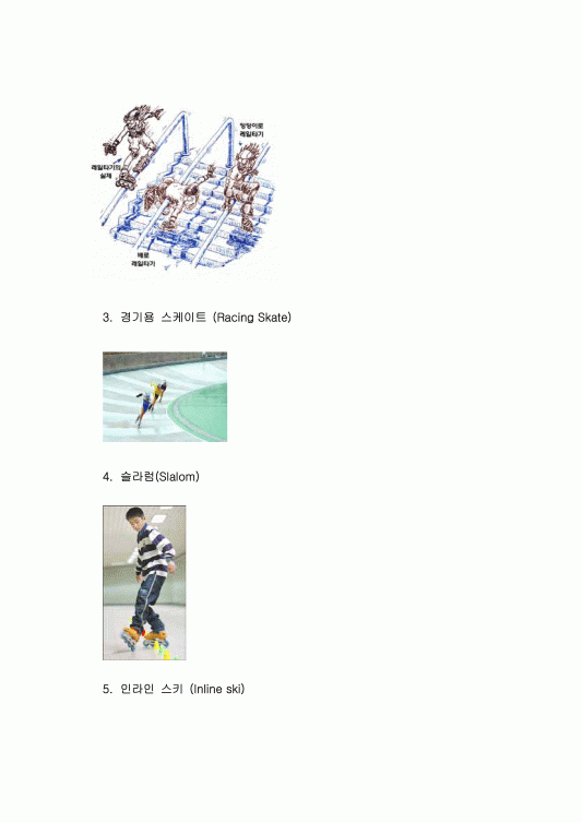 인라인 스케이트의 종류와 소개