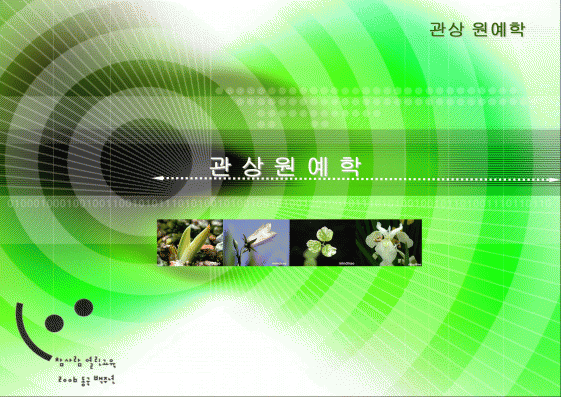 반엽식물 레포트 자료