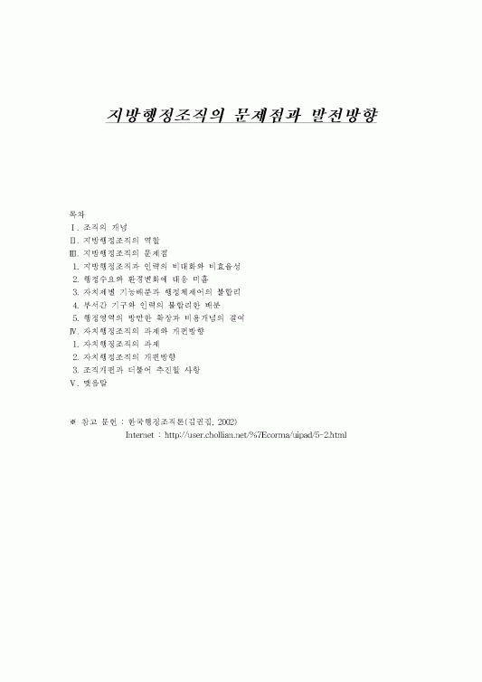 지방행정조직의 문제점과 발전방향