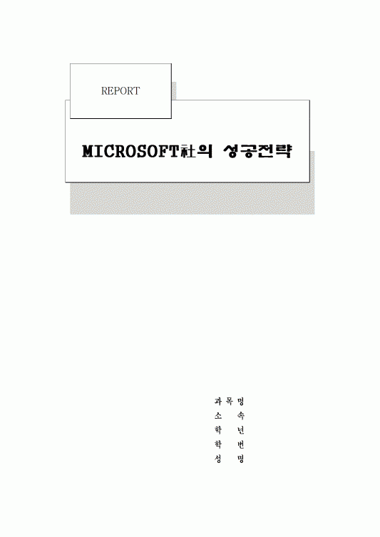 마이크로 소프트사의 성공전략