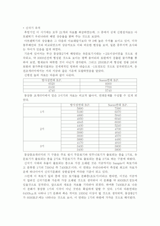 신석기 유적 레포트 자료