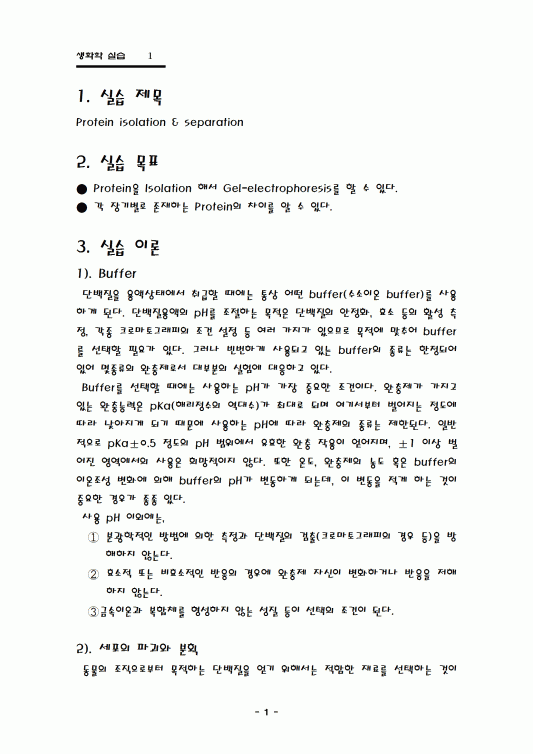 단백질(protein) 분석실험(전기영동포함)