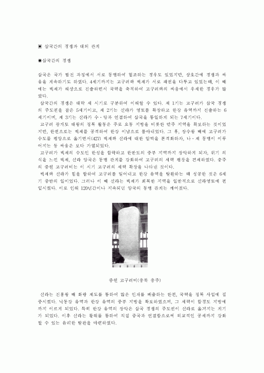 [사회과학] 삼국간의 경쟁과 대외 관계