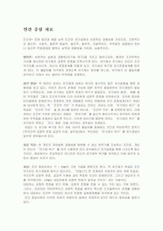 인간 중심 치료