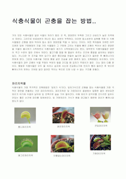 식충식물이 곤충을 잡는 방법..