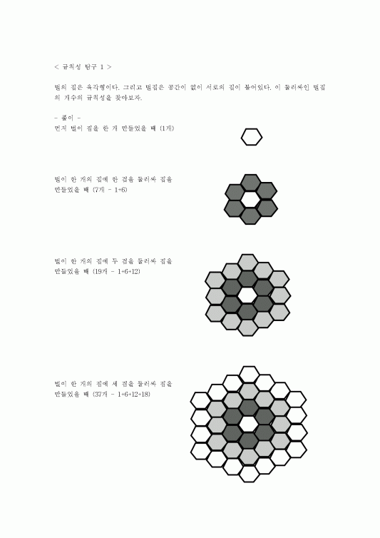 생활속의 수학적 규칙성 탐구