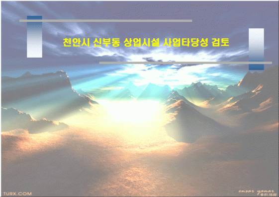 천안시 신부동 상업시설 사업타당성 보고서