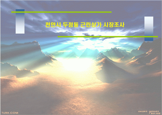 천안시 두정동  근린상가 시장조사