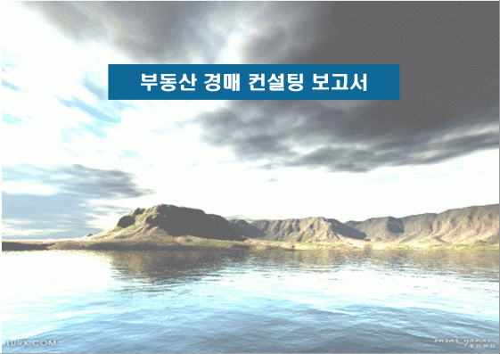 부동산 경매 컨설팅 보고서