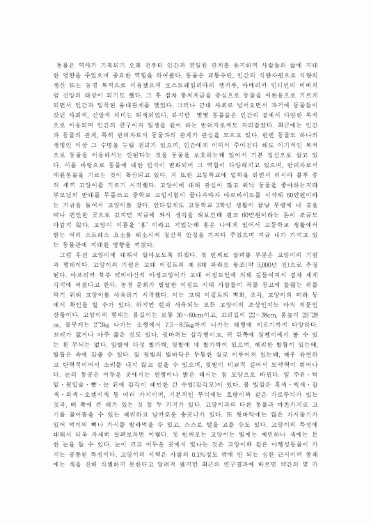 동물을 키우면서 생각, 행동의 변화(고양이를 키우면서..)