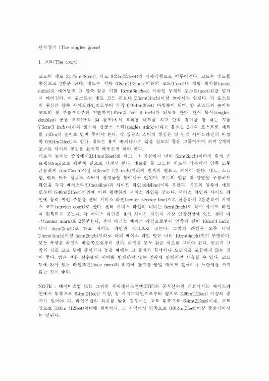 테니스룰 레포트 자료