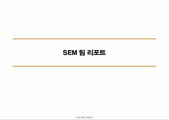 전략경영 SEM 레포트 자료
