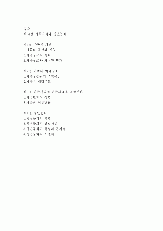가족사회와 청년문화