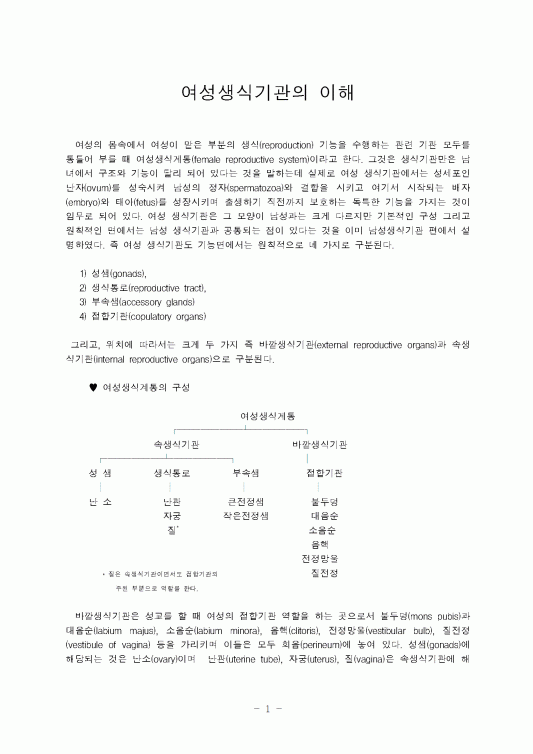 [예체능] 여성 성기관의 이해