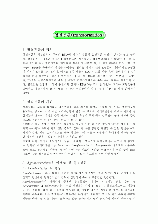 형질전환 레포트 자료