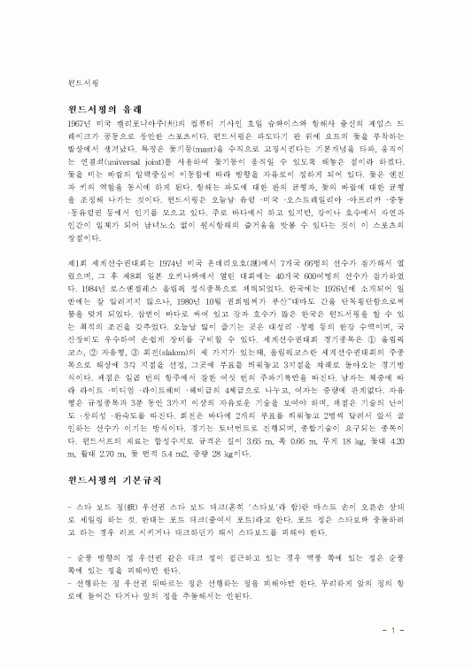 윈드서핑 체육 레포츠 스포츠 윈드서핑
