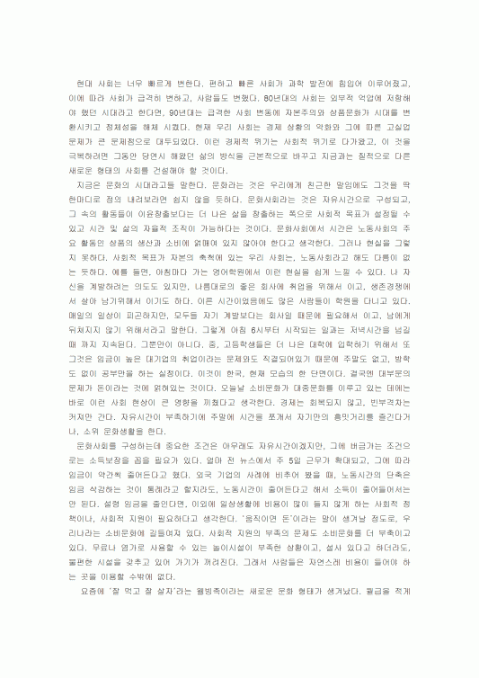 문화에 대한 문제점과 방향