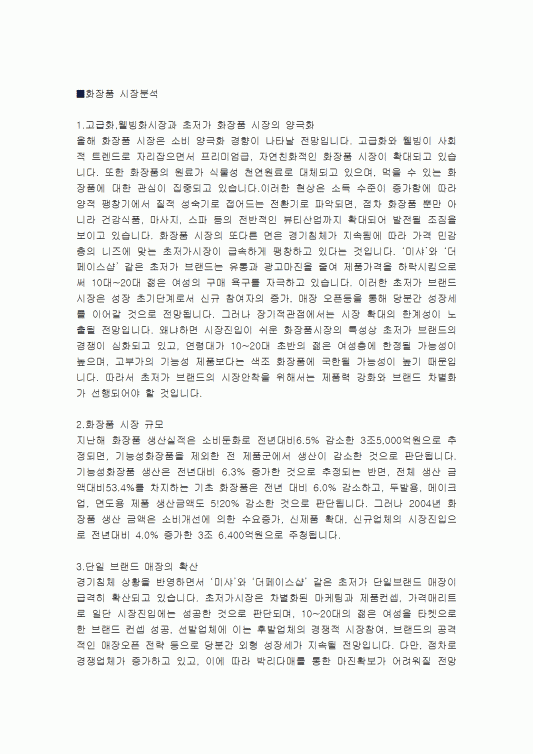 미샤 마케팅 레포트 자료