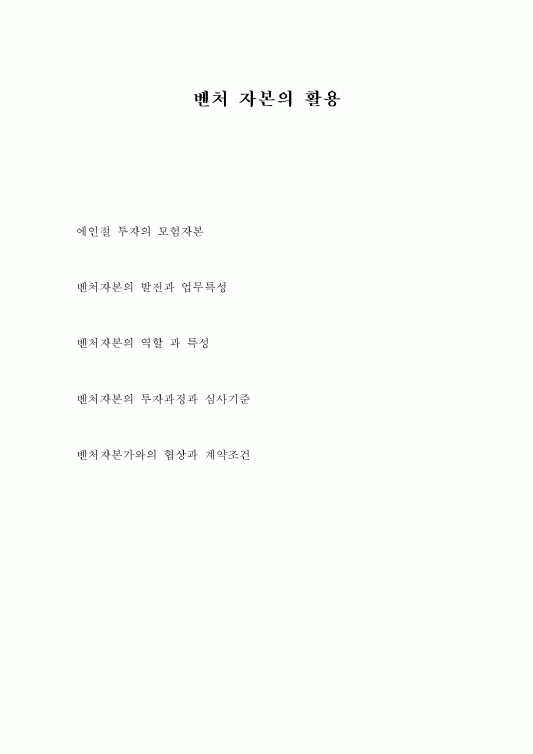 벤처 자본의 활용