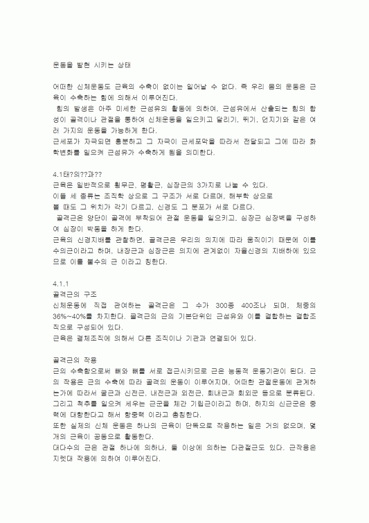 스포츠 생리학