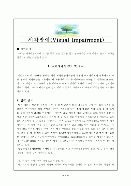 시각장애(Visual Impairment)에 관한 종합적 보고서