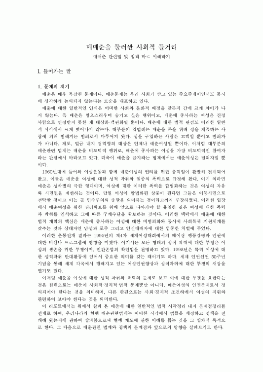 매매춘 관련법 및 정책에 대하여