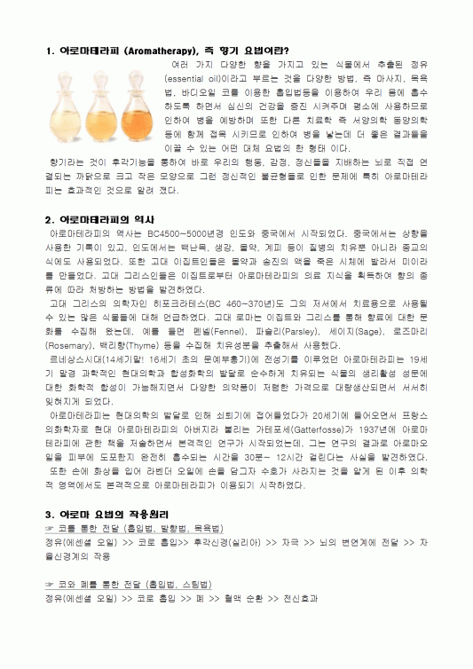 아로마요법 레포트 자료