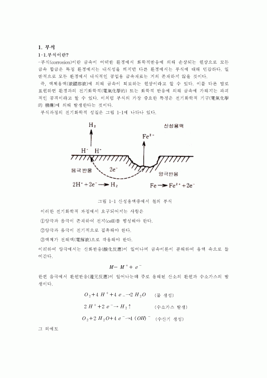 부식에대한 reporting자료