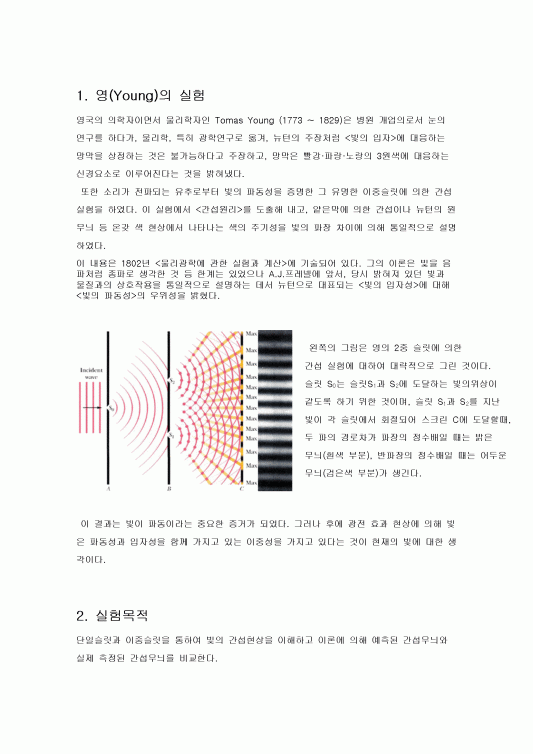 [자연과학] 영의 실험
