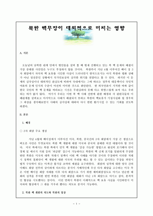 북한 핵무장이 대외적으로 미치는 영향에 관한 보고서