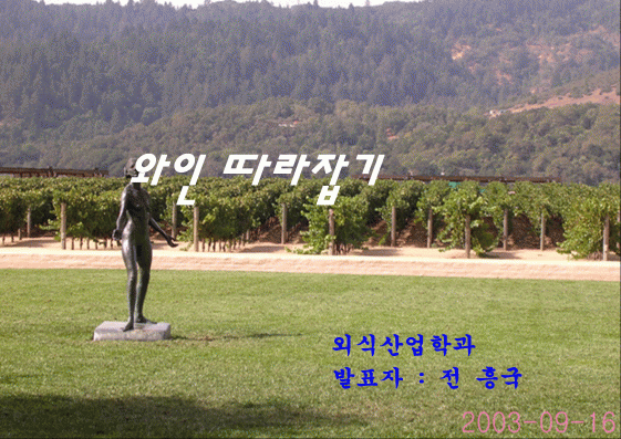 와인 따라잡기