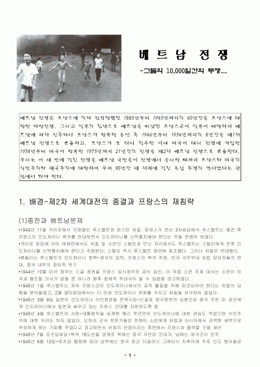 베트남전쟁 레포트 자료