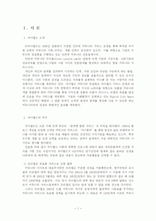 싸이월드의 마케팅 전략