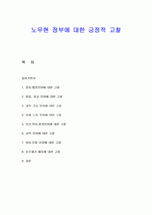 노무현 정부에 대한 긍정적 고찰