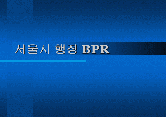 서울시 행정 BPR
